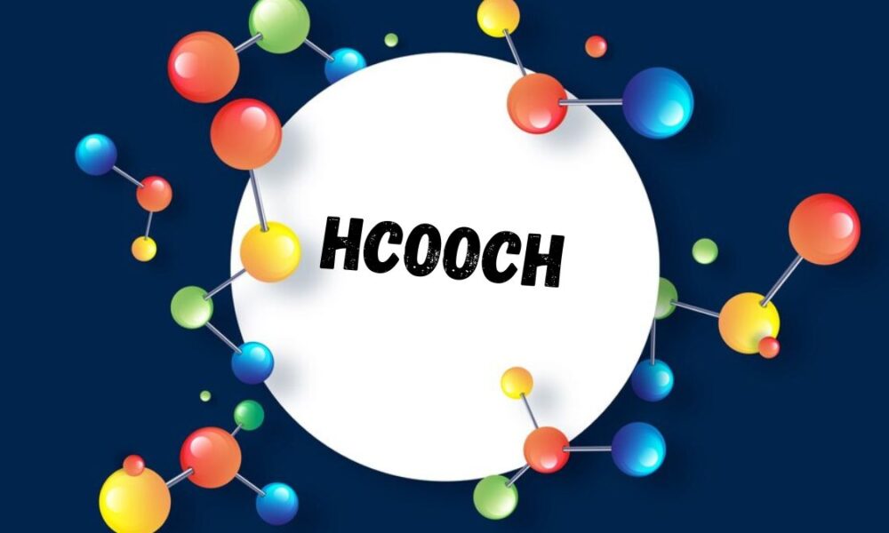 Molecules to Mixtures: The Significance of HCOOCH CH2 H2O